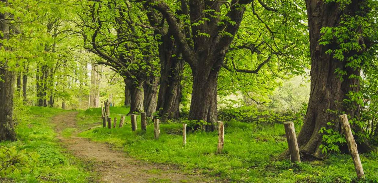 VisitFyn | Ostseeinsel Fyn