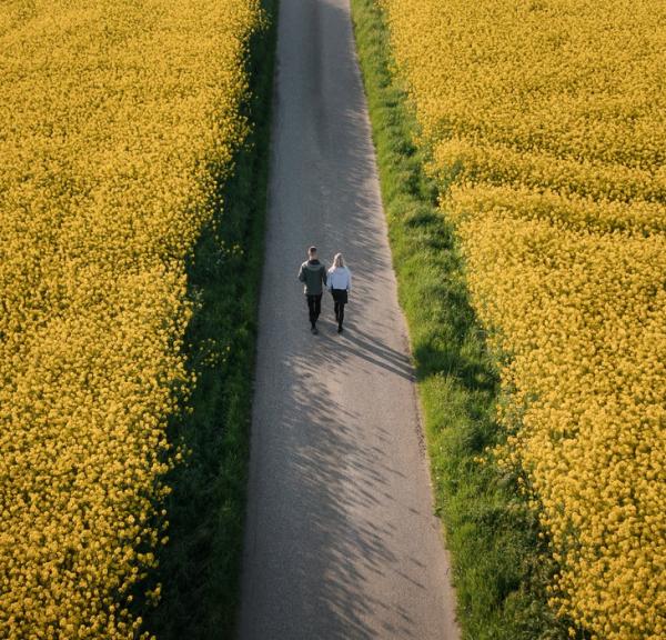 VisitFyn | Ostseeinsel Fyn